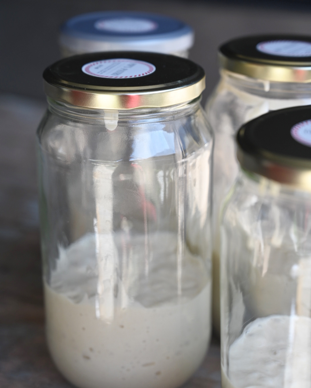 Sourdough Starters - Pips Pastry